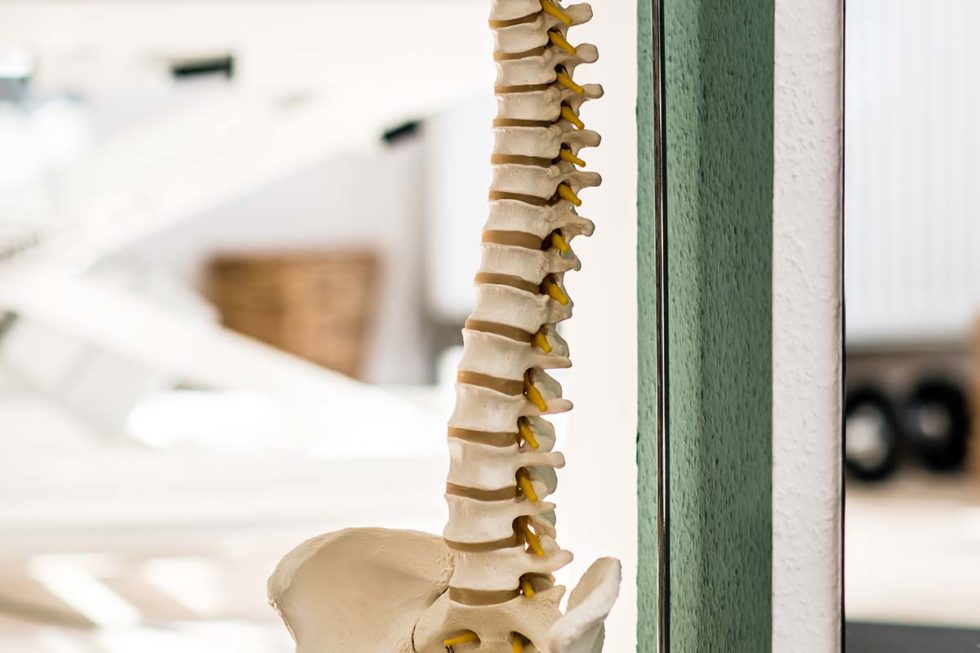 Triggerpunkt-Therapie - Physio am Hafen
